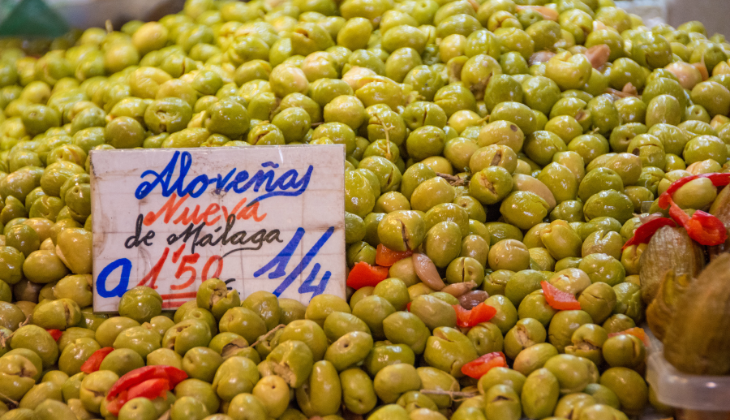 Event sustainability: 6 keys for the new ecological paradigm